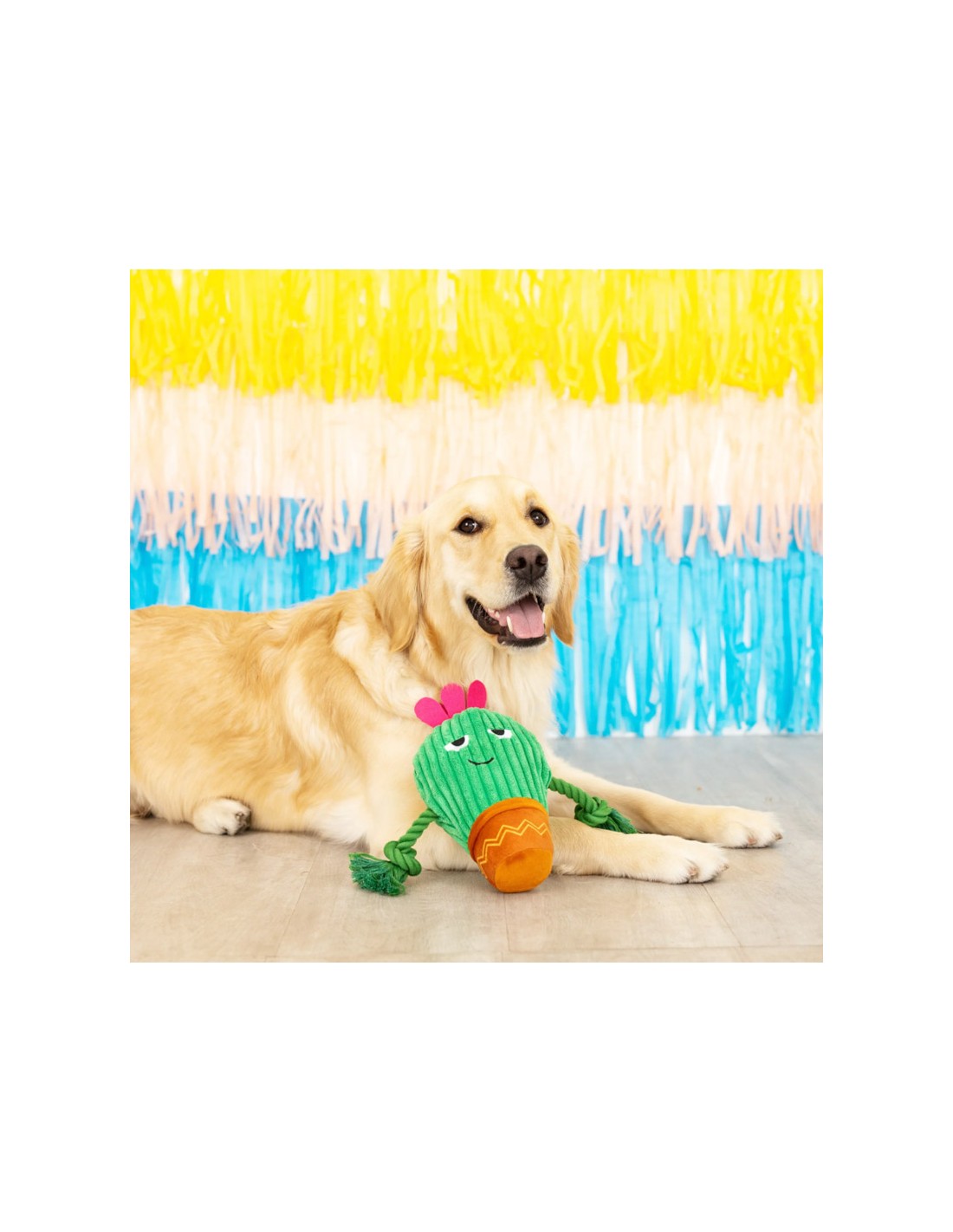 You grow chica! | Touw