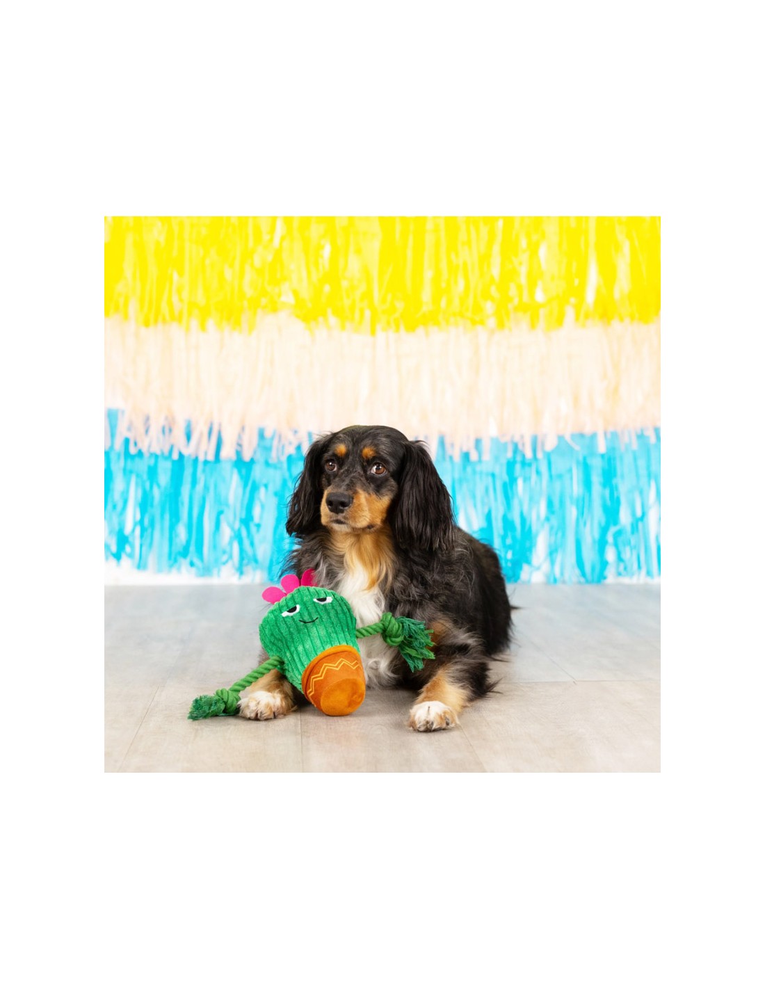 You grow chica! | Touw